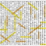 Word Search - National Solutions