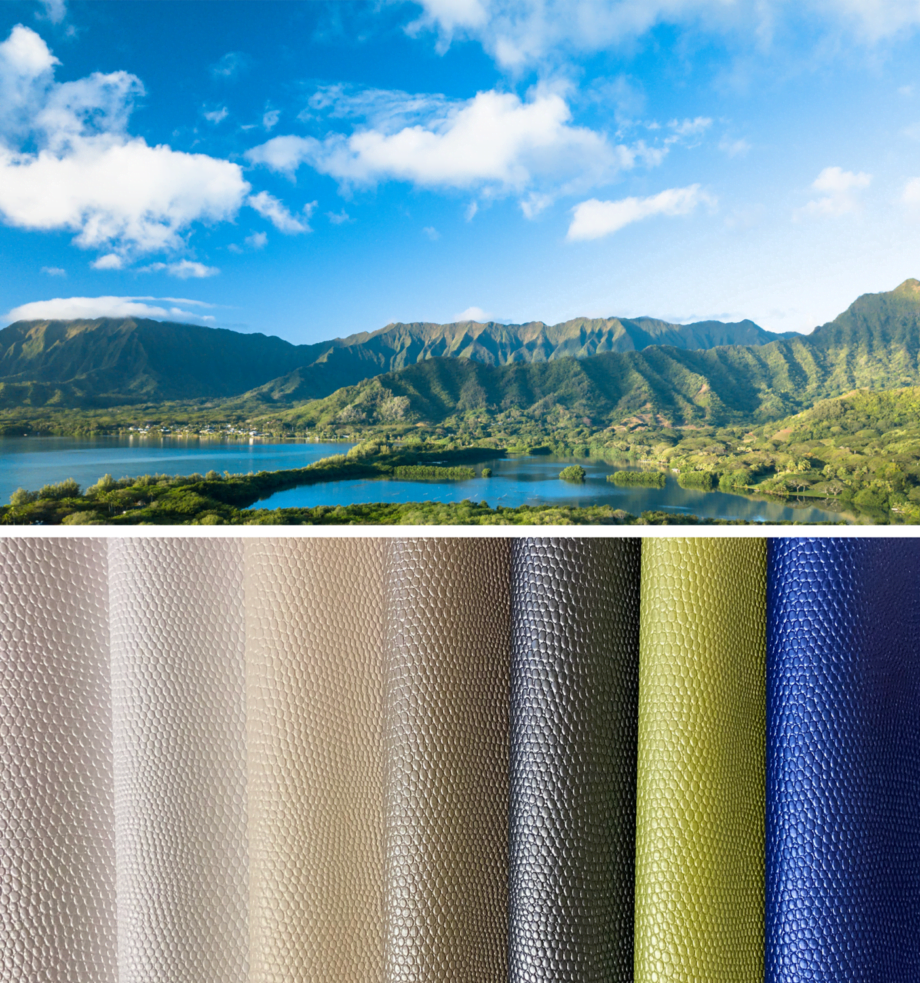 Command Wallcoverings Introduces 4 New Patterns Inspired by Nature ...