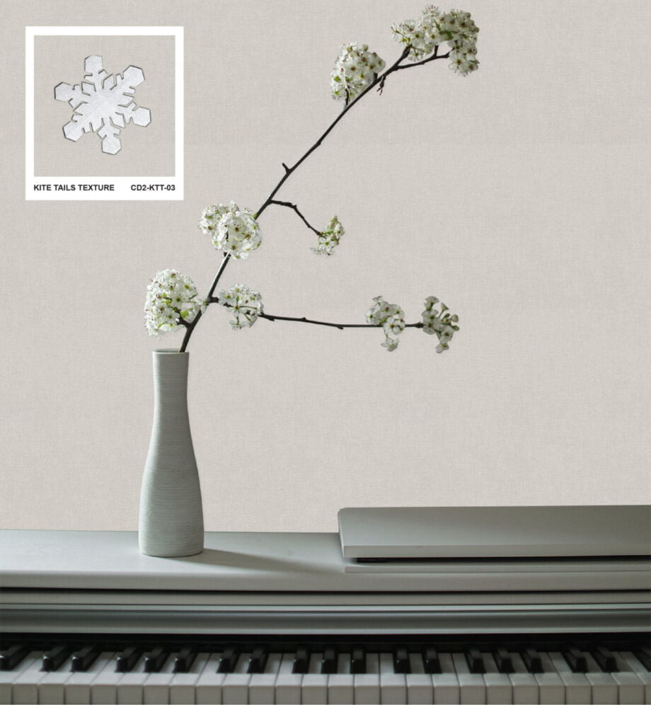 Winter Wonderland and Snowflakes! - National Solutions