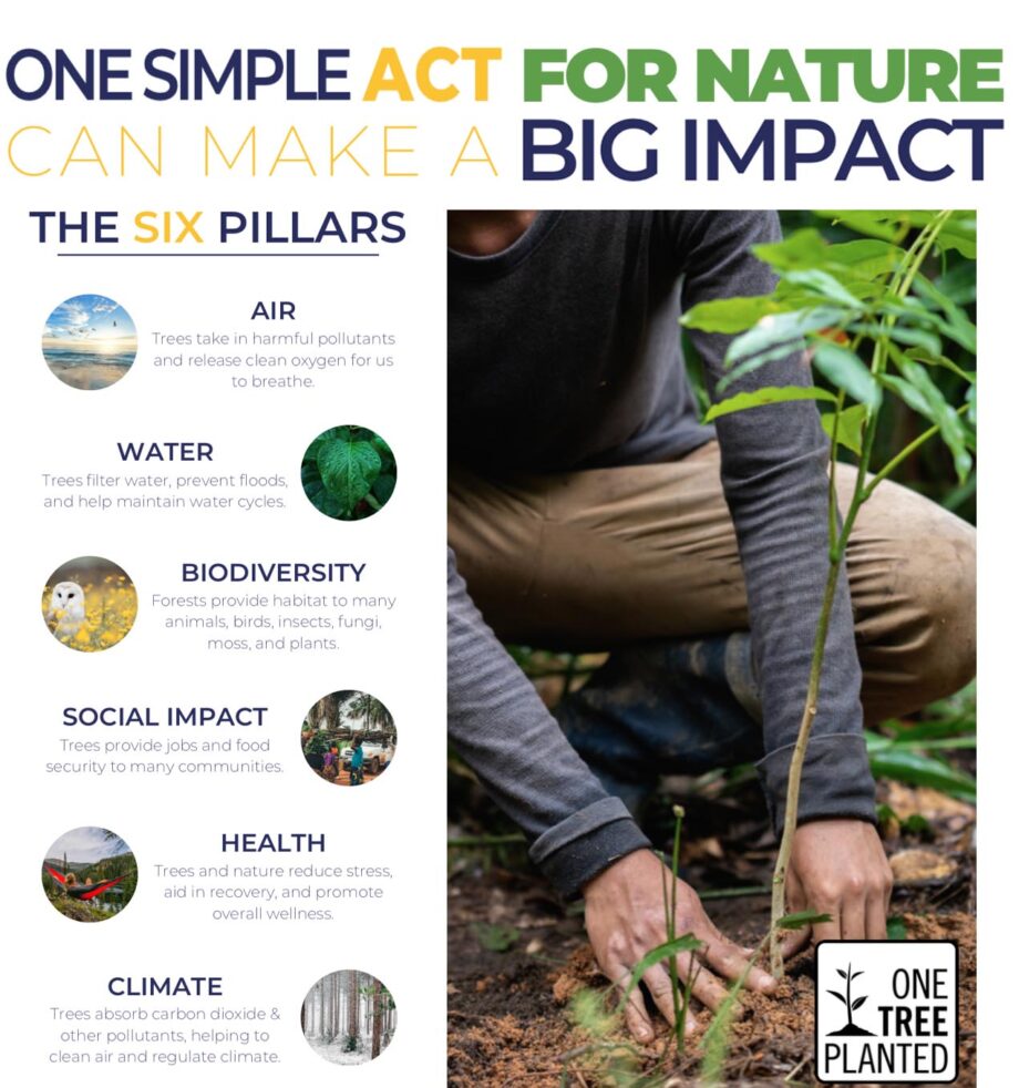 Planting Trees with One Tree Planted - National Solutions